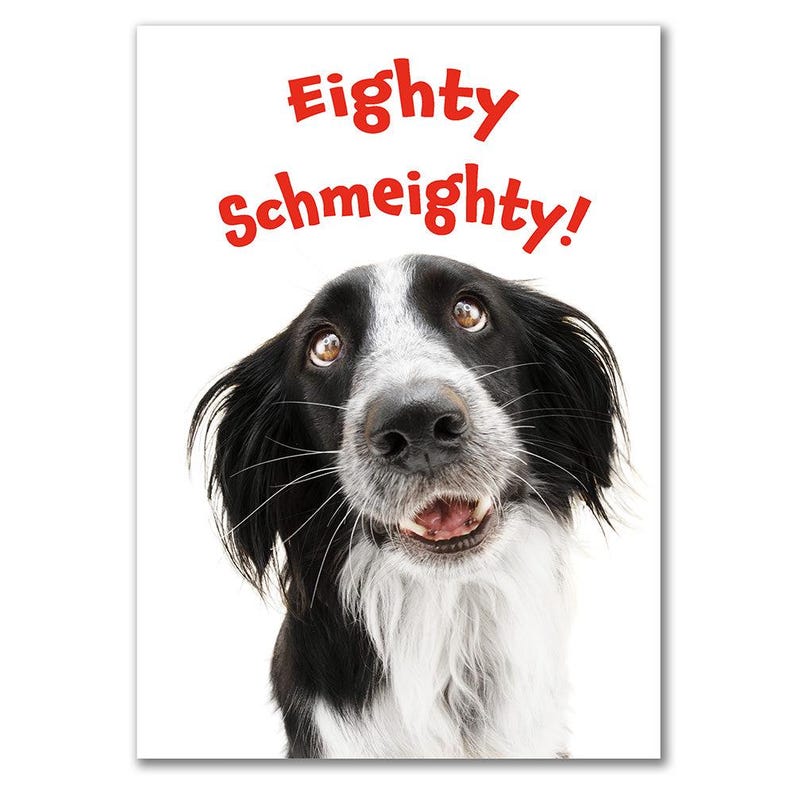 Eighty Schmeighty 80th Birthday Card for Men or Women - Etsy