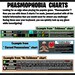 Phasmophobia Guides and Quick Charts Laminated Version Your Personal ...