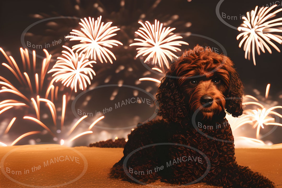 Cockapoo Digital AI Art Brown Silk Coat With a Night Sky and a ...