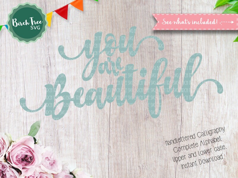 Alphabet SVG Font Cutfile, Modern Calligraphy SVG, Handwritten Script ...