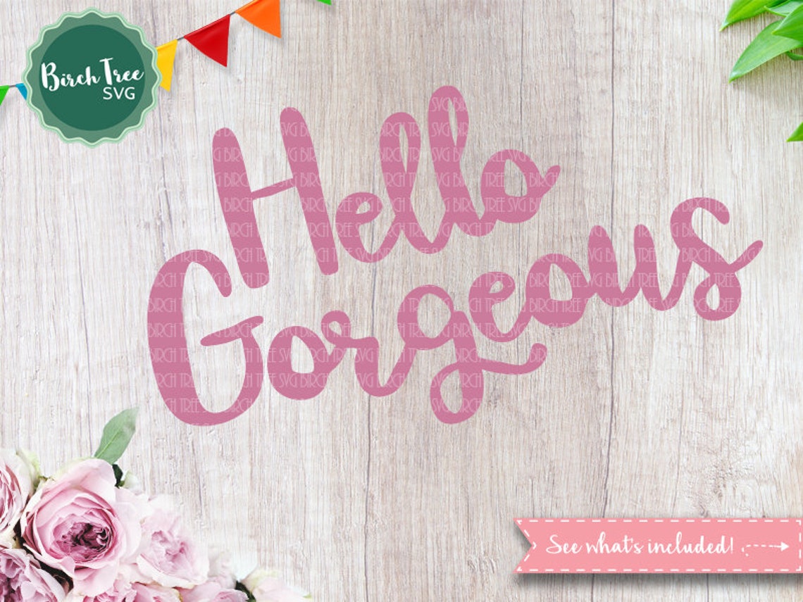 Alphabet Font SVG Cutfile, Modern Calligraphy SVG, Handwritten Script ...