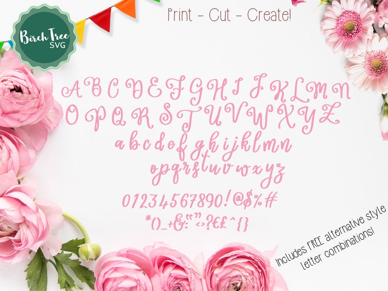 Alphabet SVG Fonts Cutfile, Modern Calligraphy SVG, Handwritten Script ...