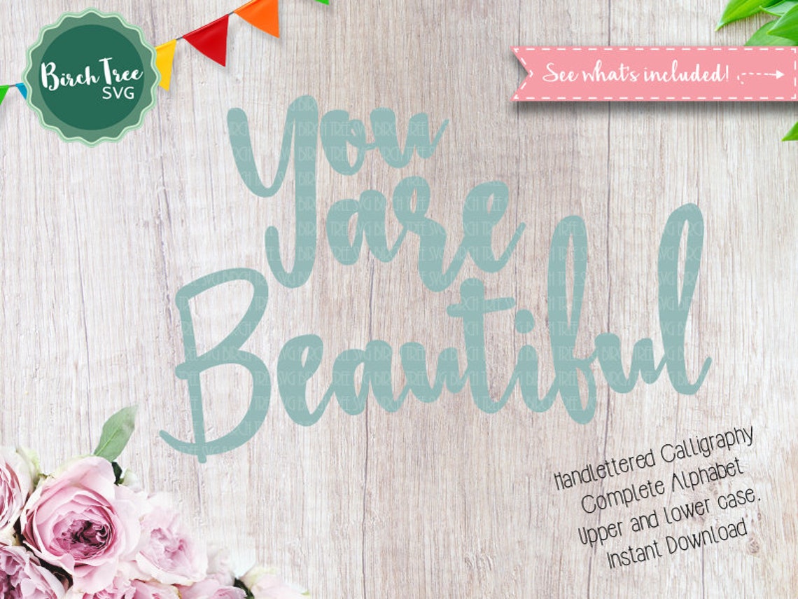 Alphabet SVG Font Cutfile, Modern Calligraphy SVG, Handwritten Script ...