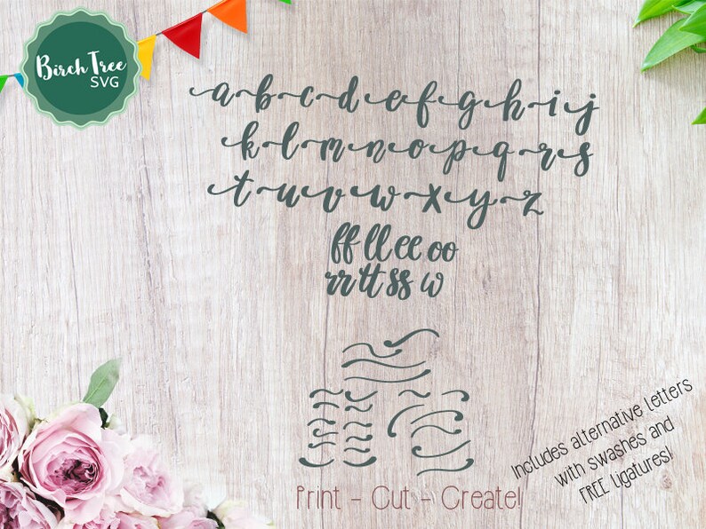 Alphabet SVG Font Cutfile, Modern Calligraphy SVG, Handwritten Script ...