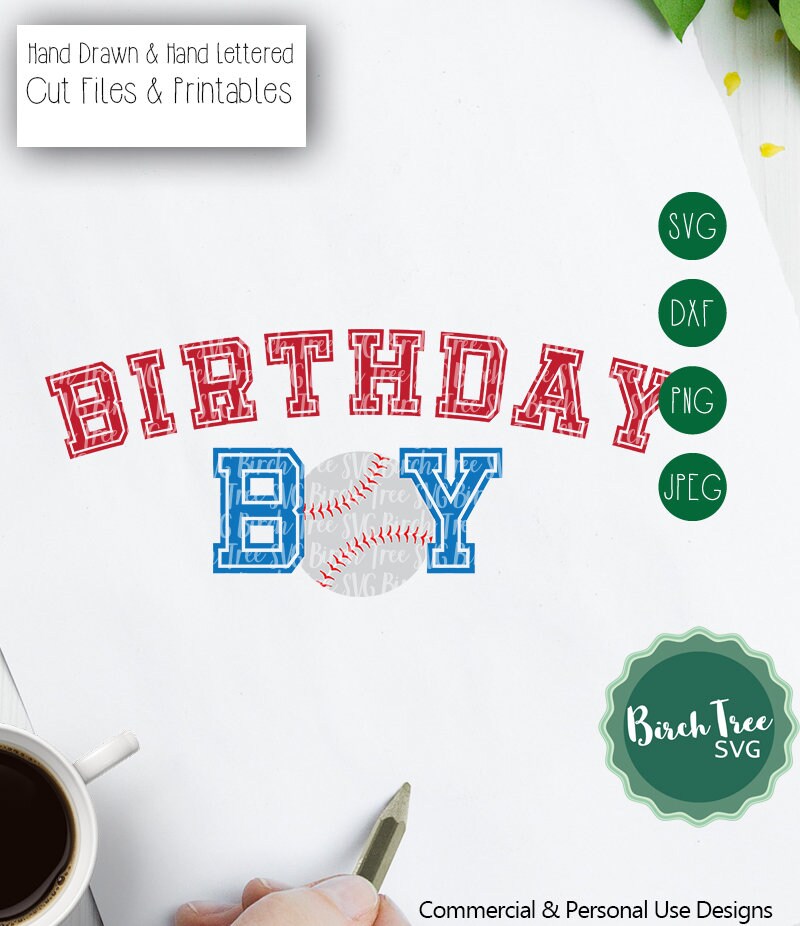 Birthday Boy Baseball Svg Baseball Birthday Svg Birthday | Etsy