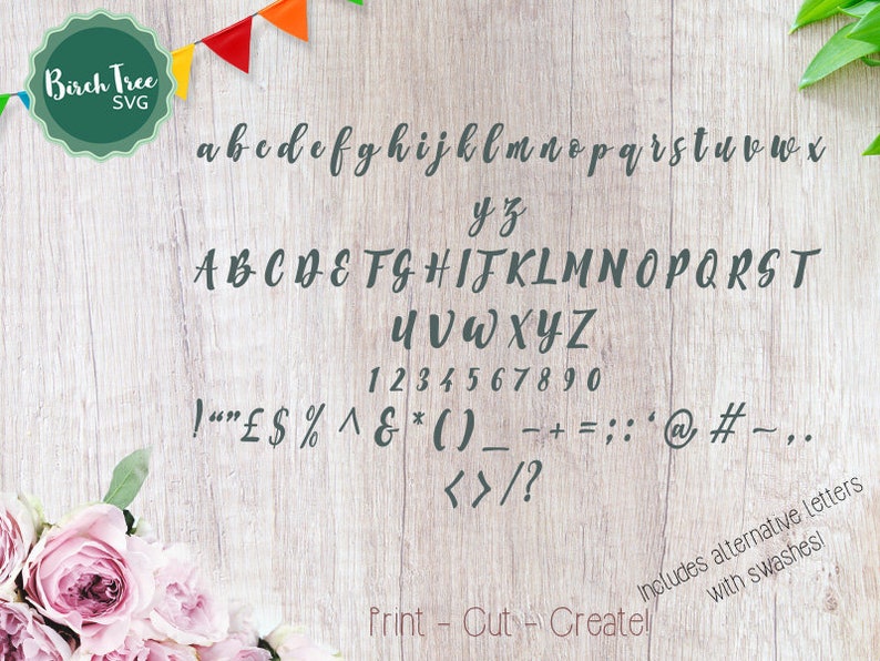 Alphabet SVG Font Cutfile, Modern Calligraphy SVG, Handwritten Script ...