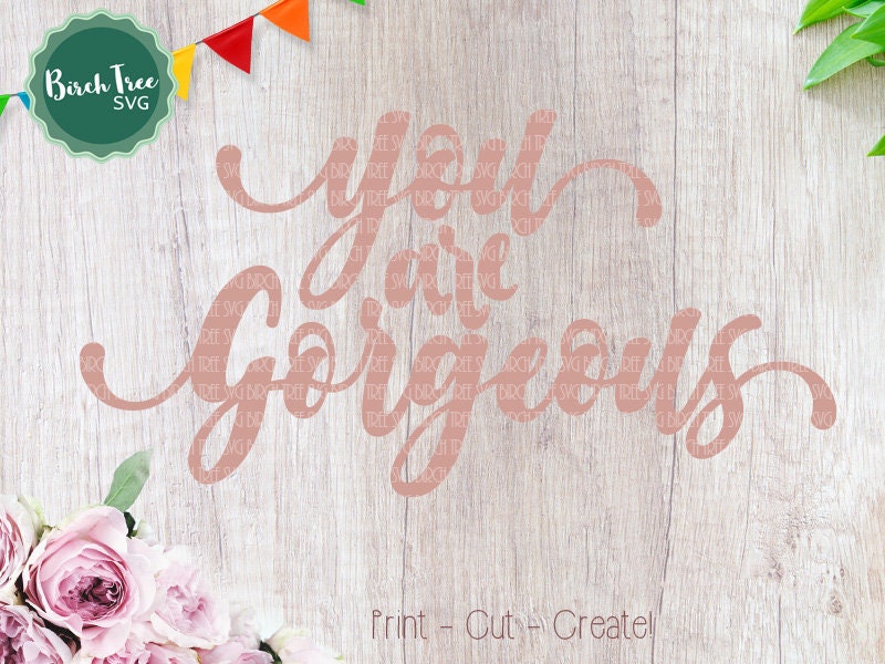 Alphabet SVG Font Cutfile, Modern Calligraphy SVG, Handwritten Script ...