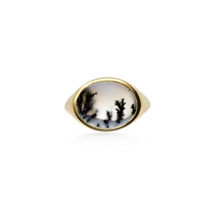 Snow Agate Horizontal Signet Ring -gold - Signet Ring, Gold Signet Ring ...