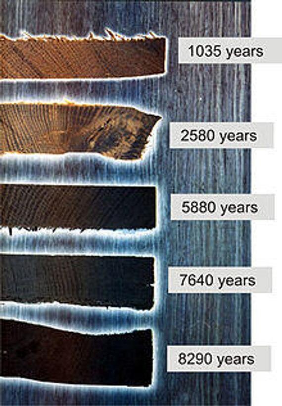 Personalized wooden fountain pen in Irish Bog Oak. Comes with | Etsy