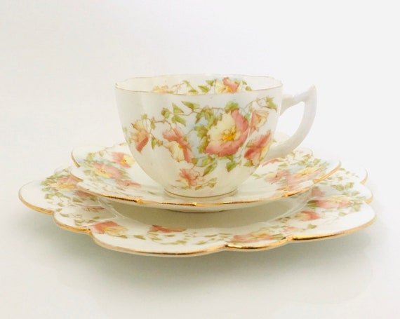 The Paragon China England Trio Circa 1899-1904. Scalloped Gilt - Etsy