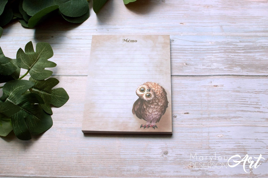 A6 Cute Owl Notepad Interviewed, 50 Lined Sheets to Write Down All Your ...