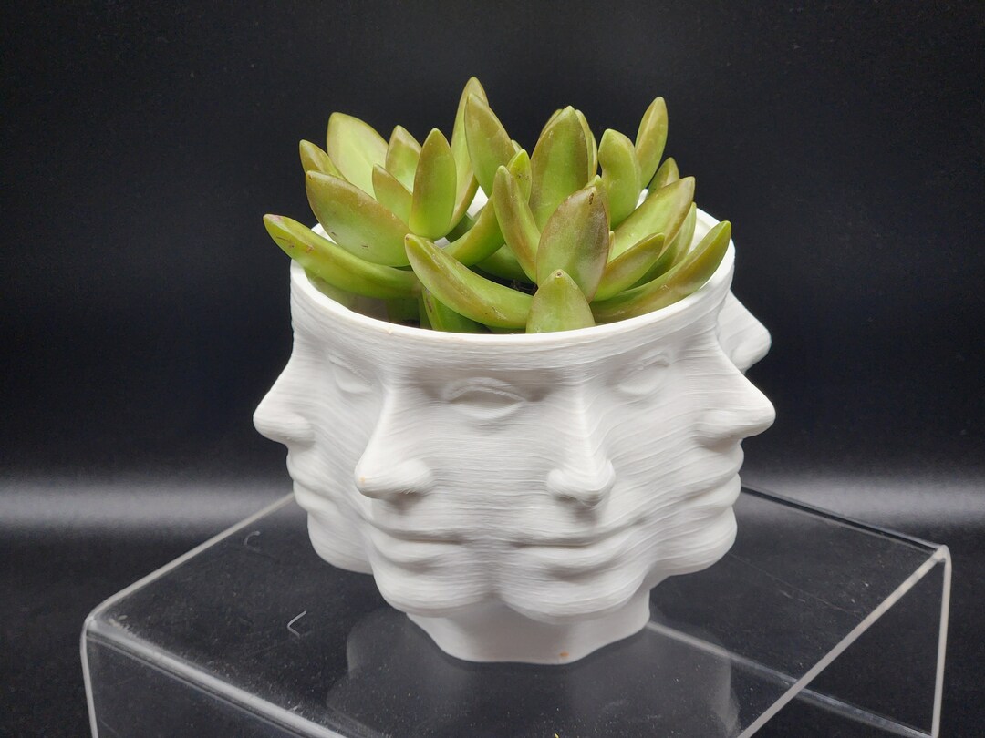 Polyface Planter - Face Circle Planter - Etsy