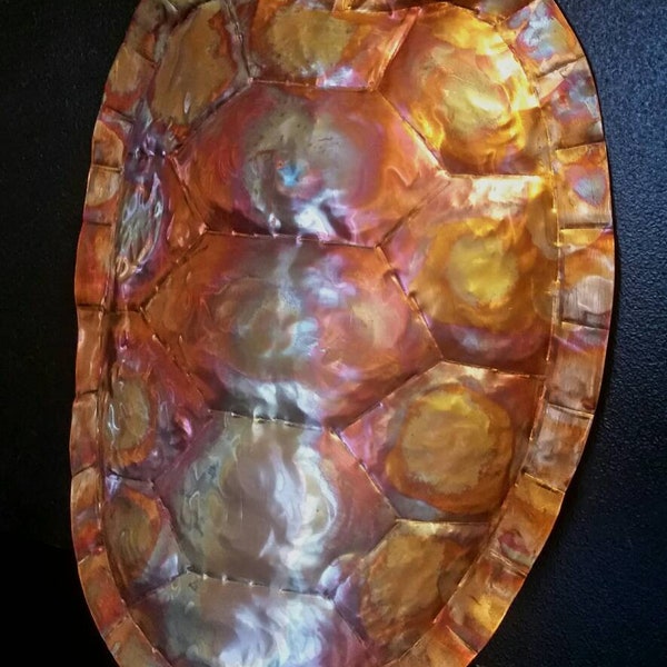 Shell Sconce - Etsy