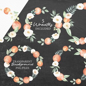 35 Orange Blossom Clipart Watercolour Wreaths Fruit Elements White ...