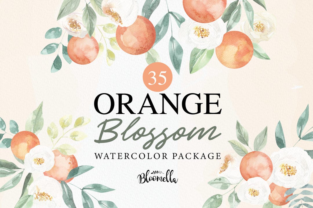 35 Orange Blossom Clipart Watercolour Wreaths Fruit Elements White ...