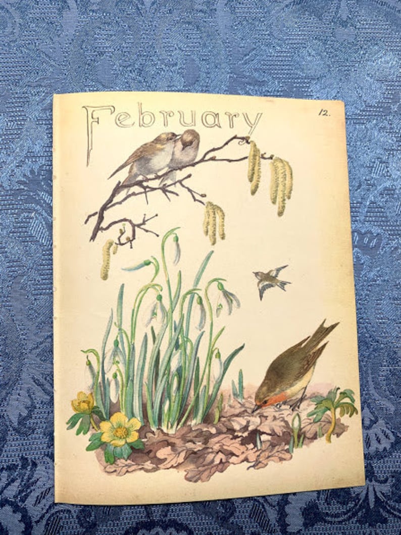 Edith Holden Vintage Book Pages, the Country Diary of an Edwardian Lady ...