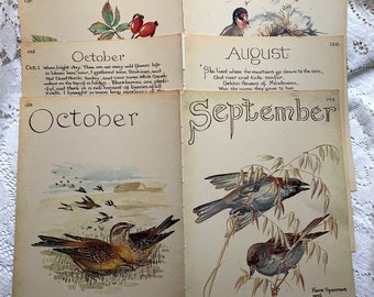 Country Diary | Etsy