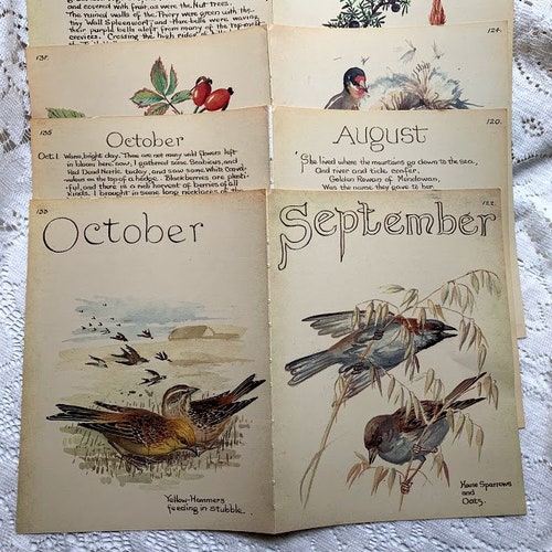 The Country Diary of an Edwardian Lady by Edith Holden - Etsy