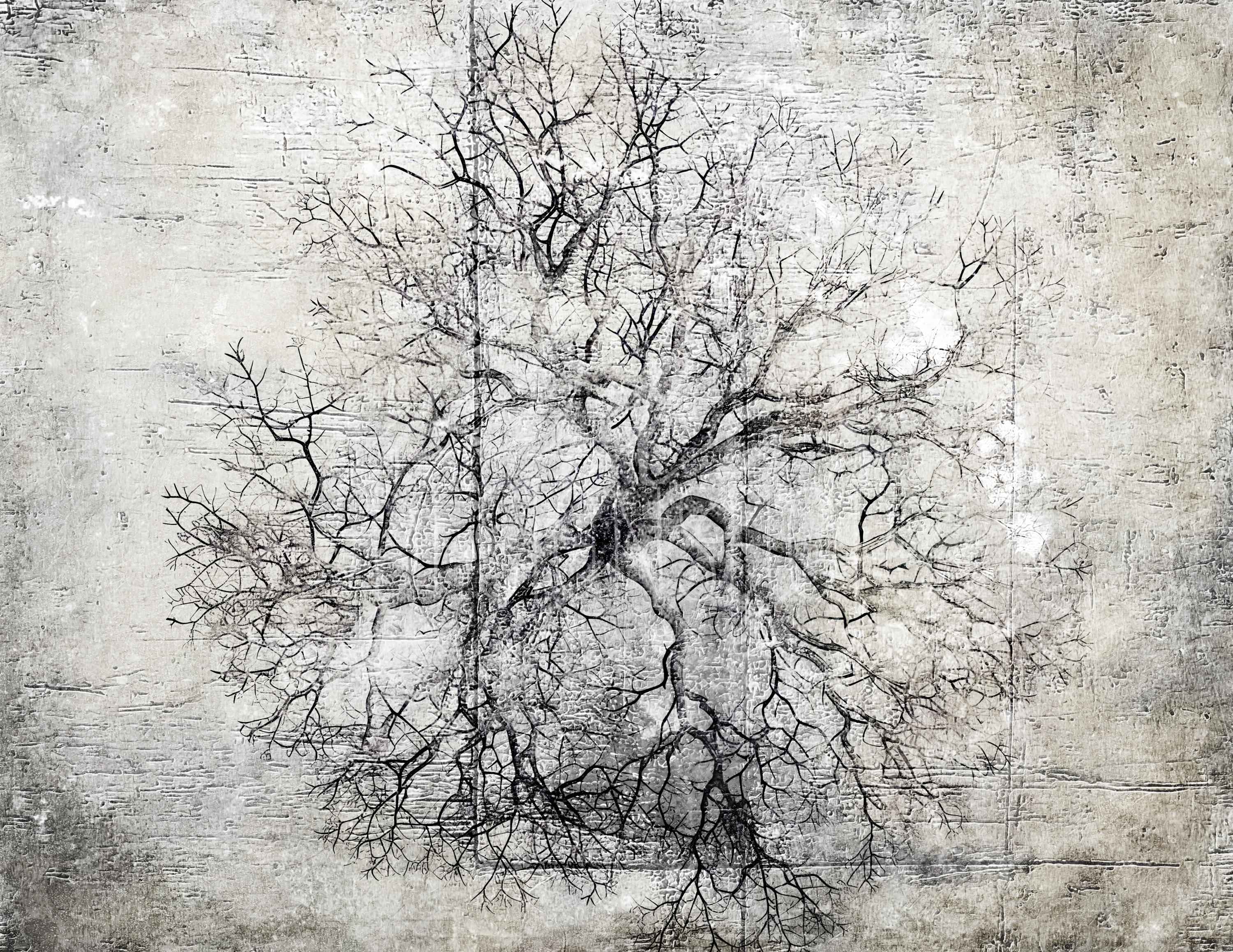 Moody Trees - Digital Paper - Tear Sheets - Background Pages - for ...