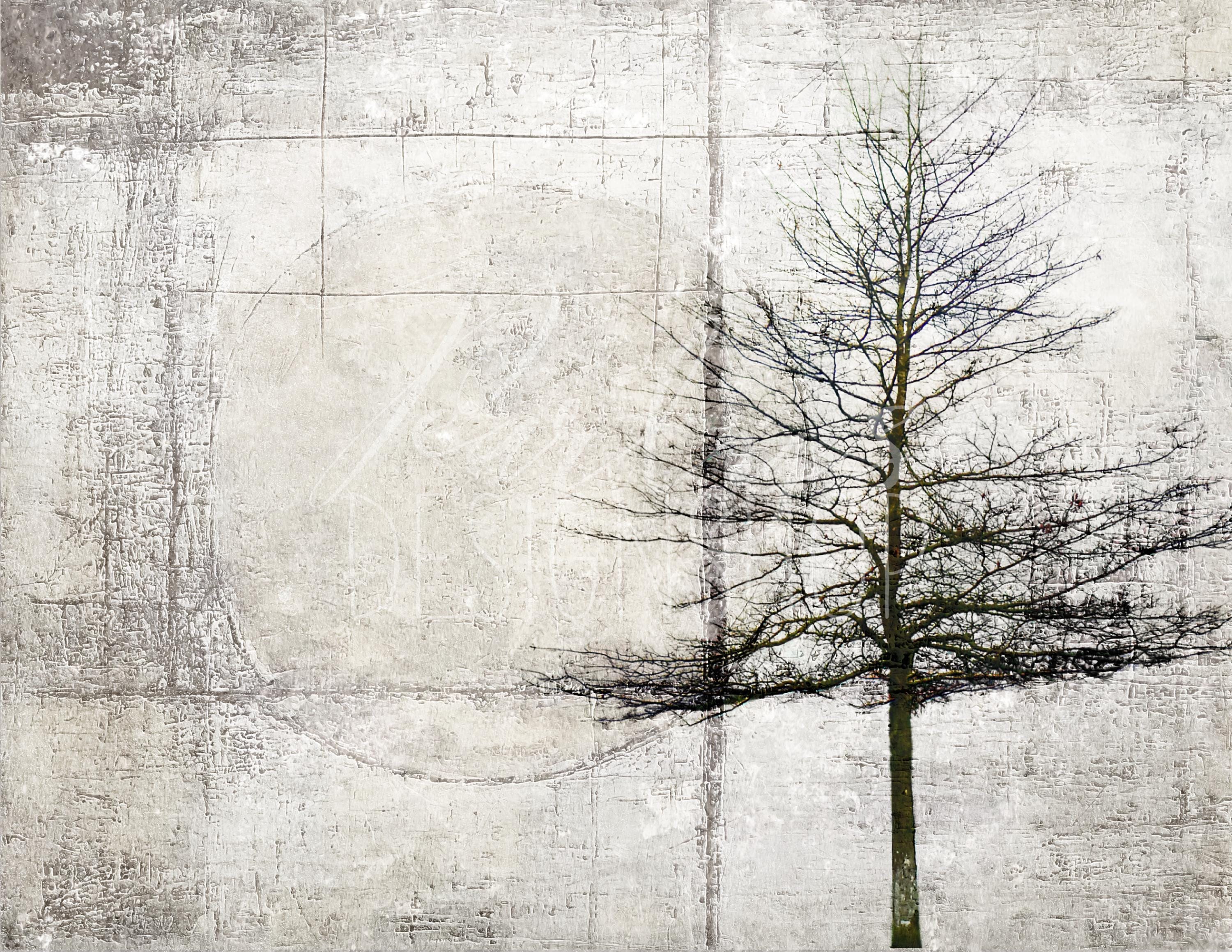 Moody Trees - Digital Paper - Tear Sheets - Background Pages - for ...