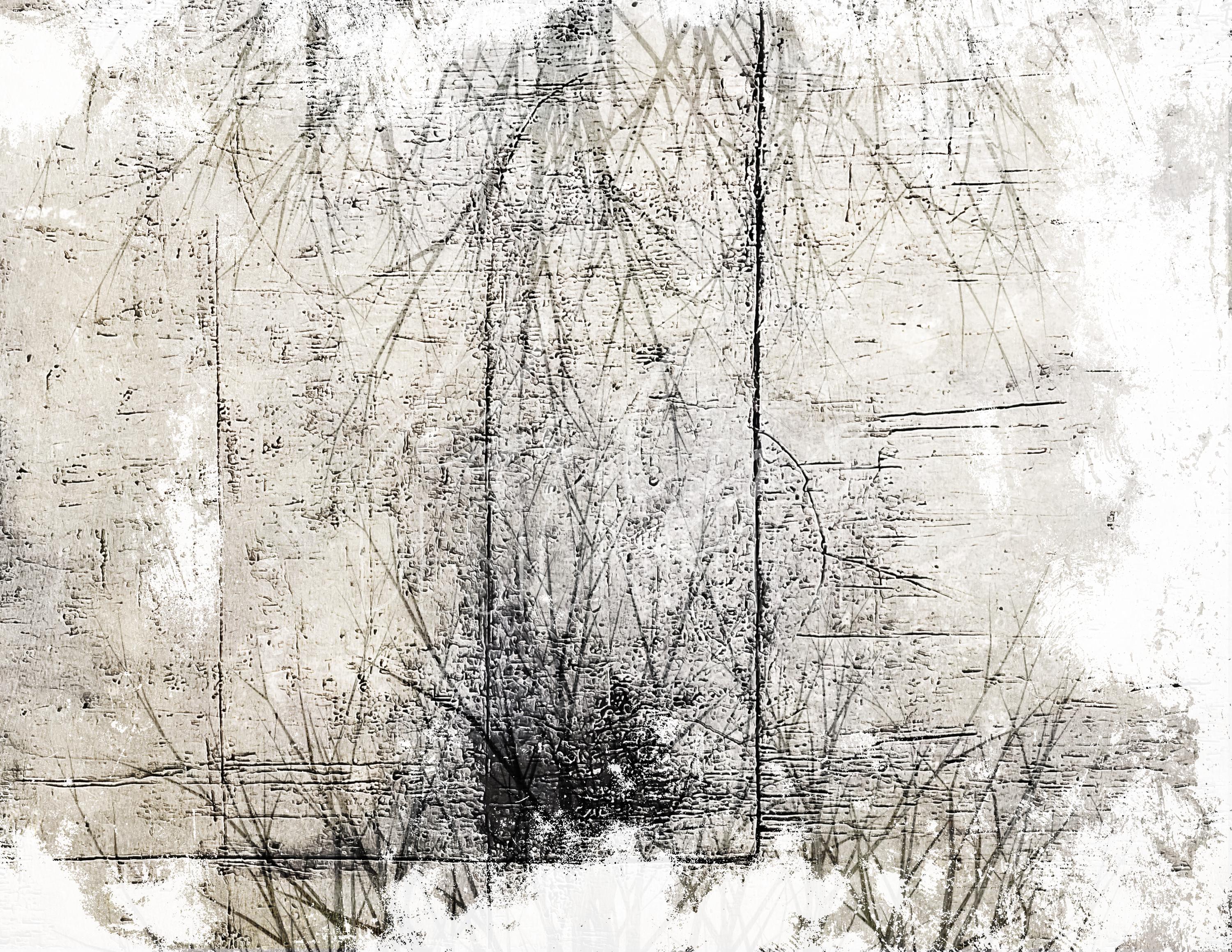 Moody Trees - Digital Paper - Tear Sheets - Background Pages - for ...