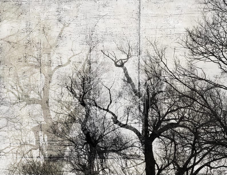 Moody Trees - Digital Paper - Tear Sheets - Background Pages - for ...