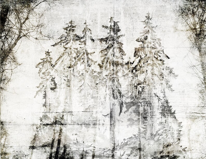 Moody Trees 2 - Digital Paper - Tear Sheets - Background Pages - for ...