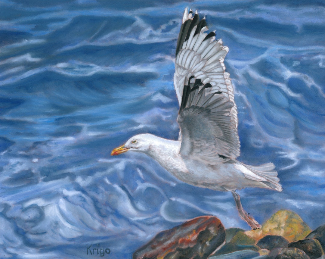 Seagull, Gull, Flying, Bird, Ocean,sea, Pastel Painting, Blue, White ...