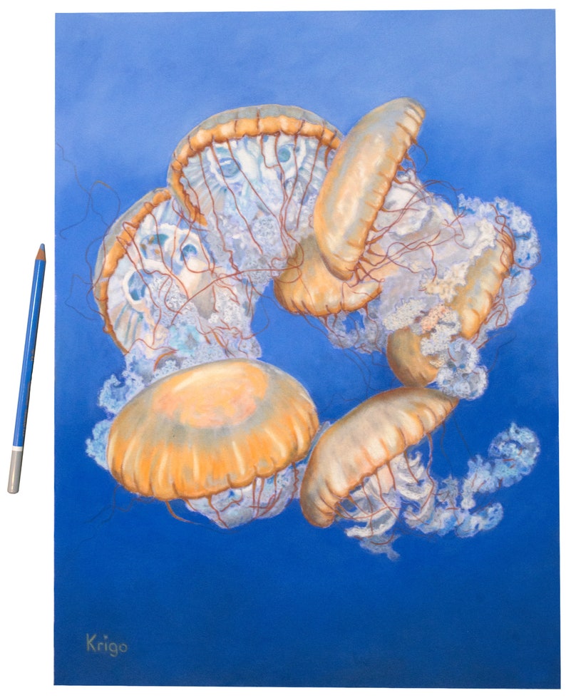 Jellyfish, Animals, Underwater, Sea, Nature, Painting, Pastel Chalk, 36 ...