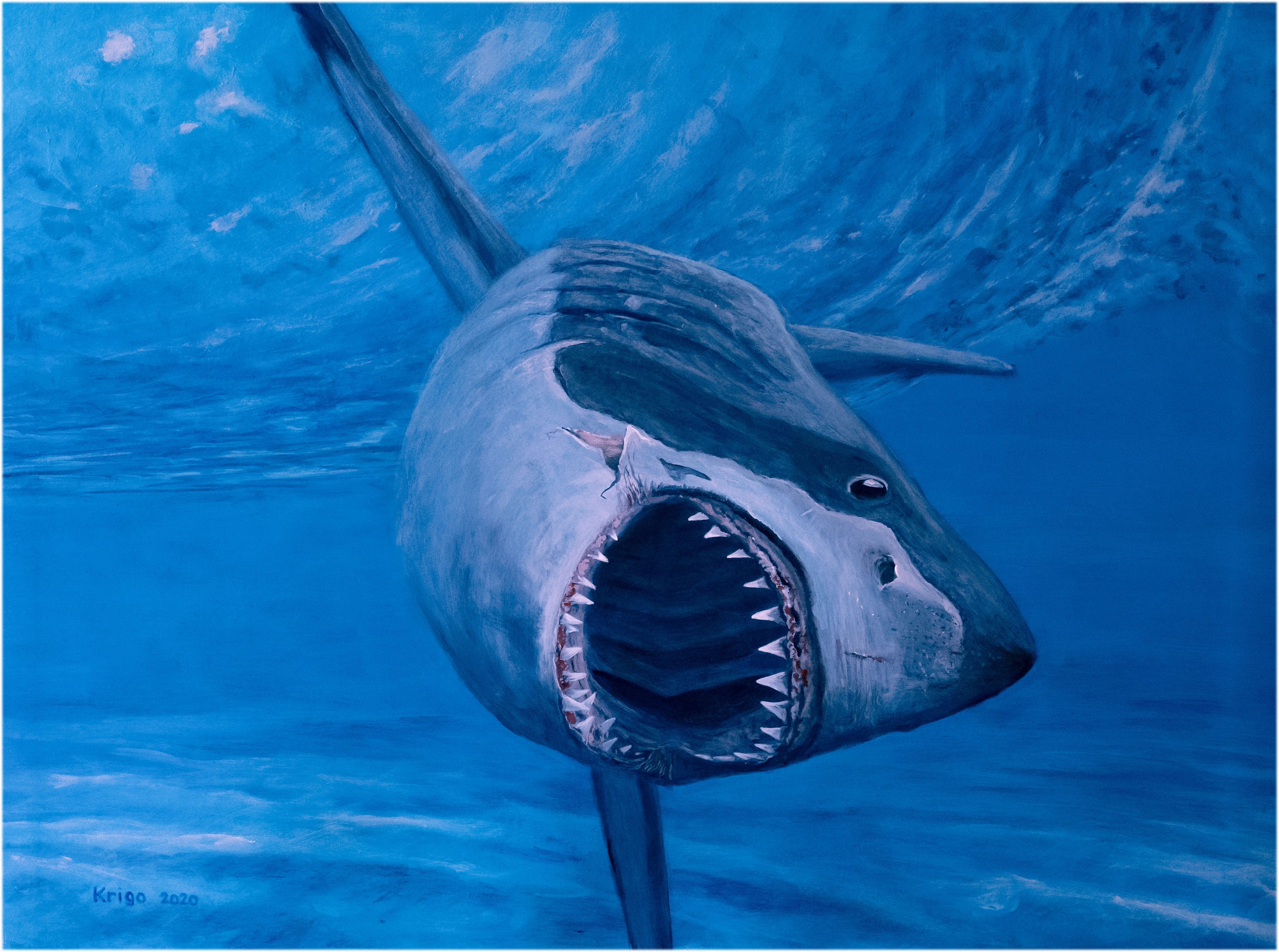 Jaws Shark Attack Game