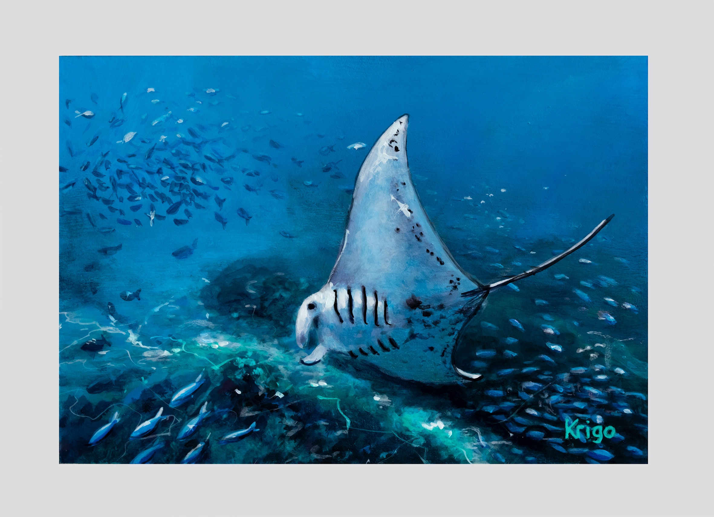 Manta, Rochen, Unterwasser, Fische, elegant, Natur, Acryl, 10x15cm ...