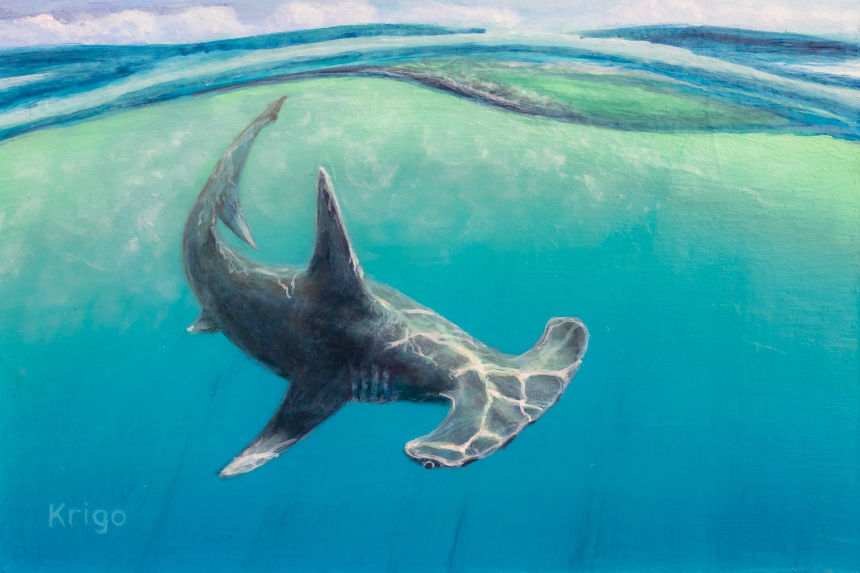 Hammerhead Shark Painting