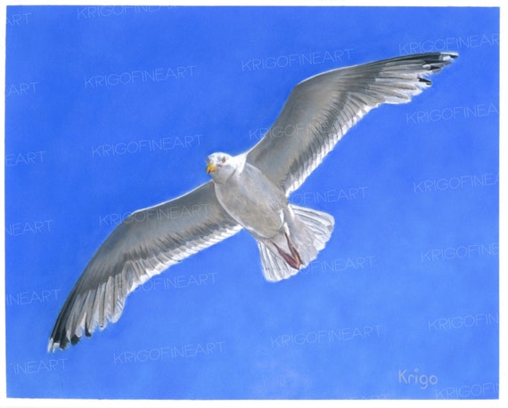 Sky Seagull Gull Flying Bird Pastel Painting Blue | Etsy