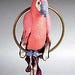 Parrot, Toucan & Cockatoo Stuffed Animal Pattern - Paper Copy - Etsy