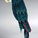 Parrot, Toucan & Cockatoo Stuffed Animal Pattern - Paper Copy - Etsy