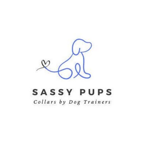 SassyPupsCollars - Etsy