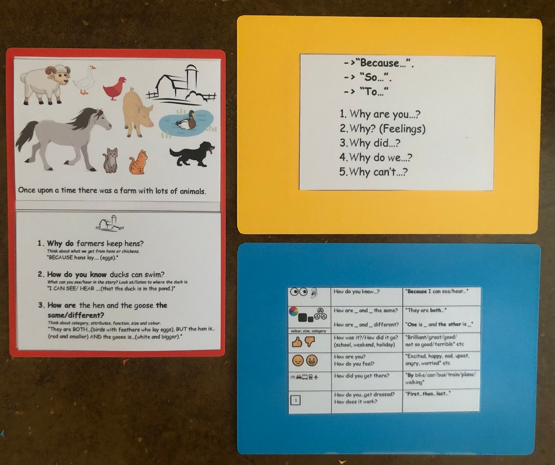 What the Ladybird Heard Story Sequencing and Why/how Questions Pack - Etsy