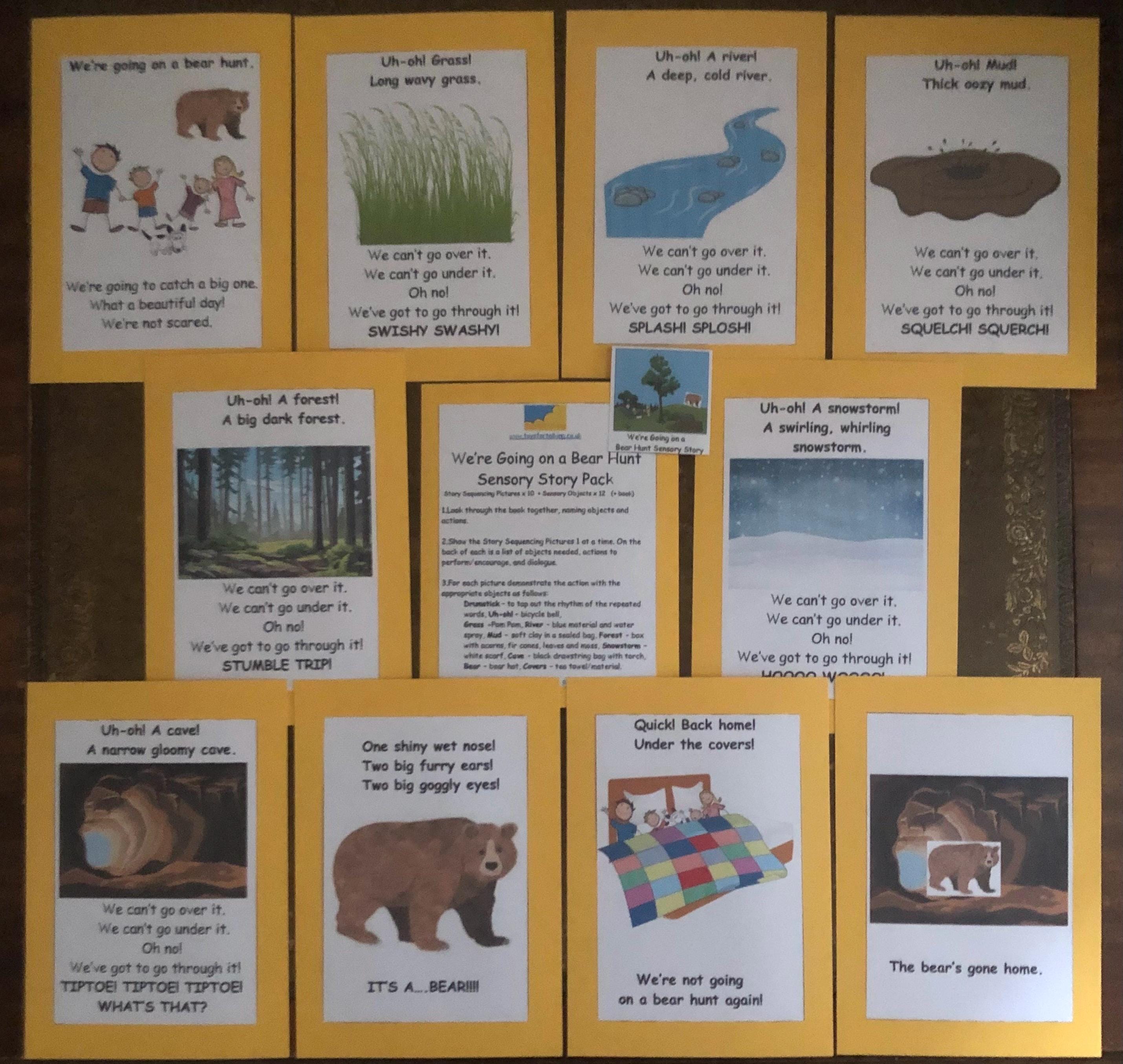 We’re Going on a Bear Hunt Sensory Story Pack With Paperback Book - Etsy