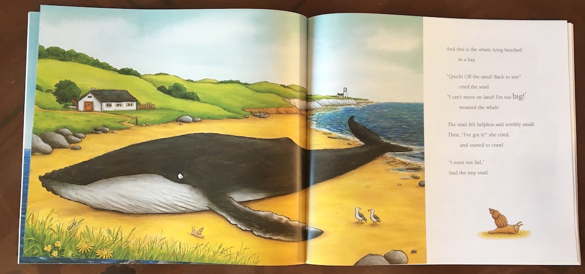 The Snail and the Whale 2 Word Level Pack With Paperback Book - Etsy