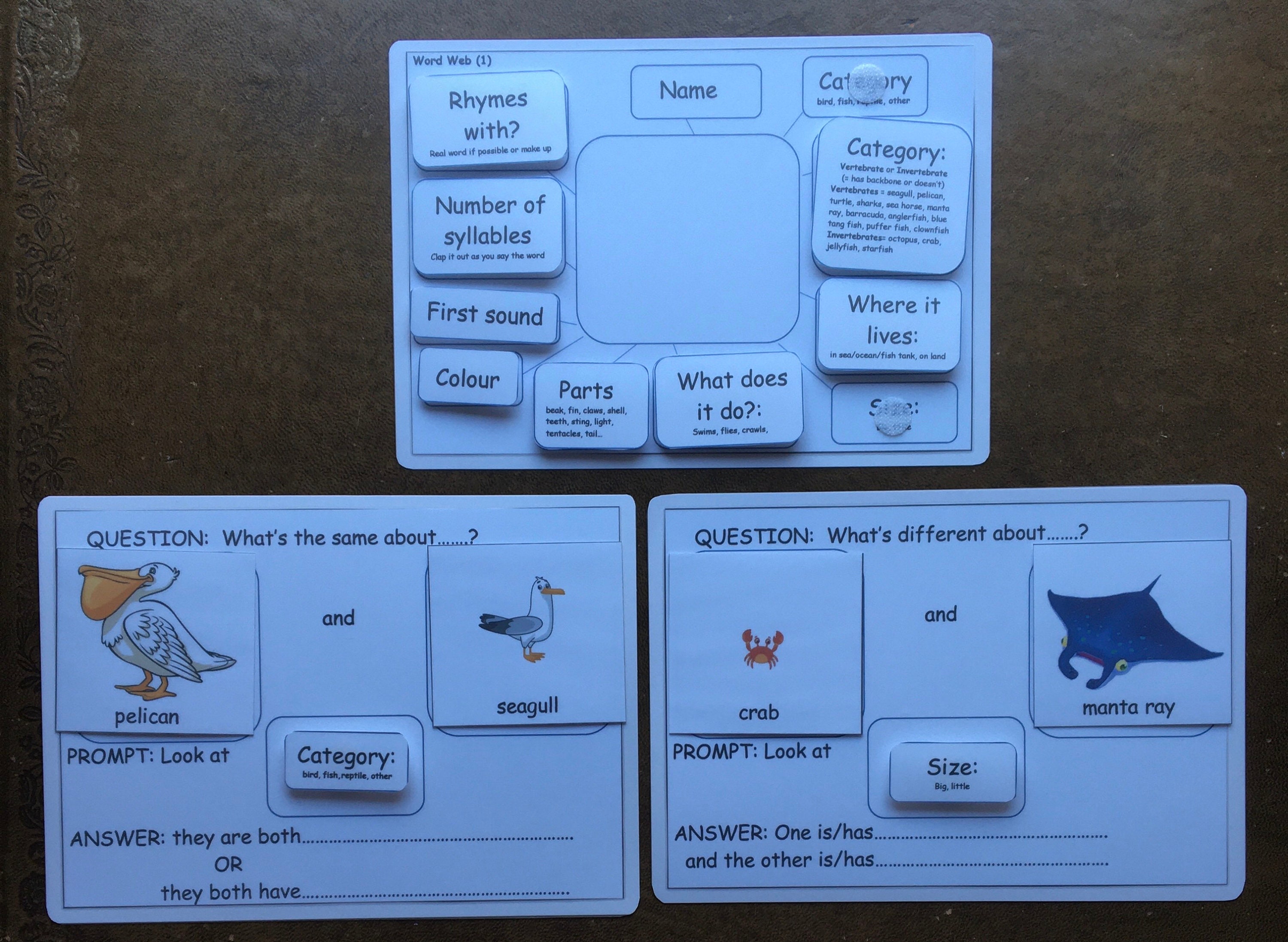 Finding Nemo Blank Levels Therapy Pack With Colourful Semantics - Etsy