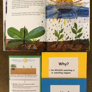 The Tiny Seed Story Sequencing With How? and Why? Questions Bumper Pack ...