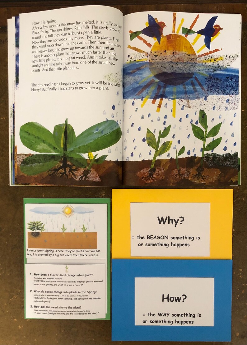 The Tiny Seed Story Sequencing With How? and Why? Questions Bumper Pack ...