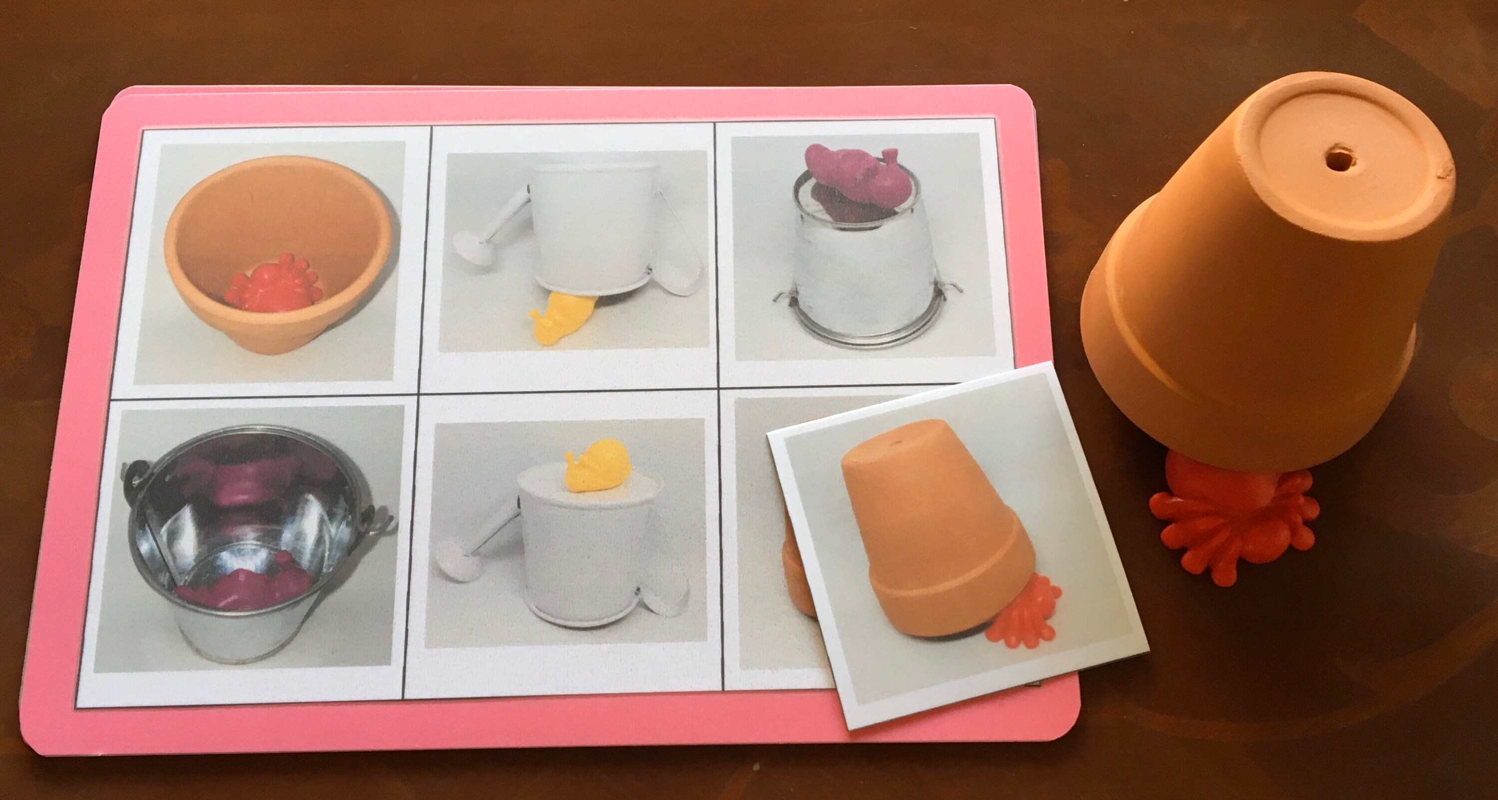 Bugs in the Garden Prepositions Pack, 3 Word Level, - Etsy