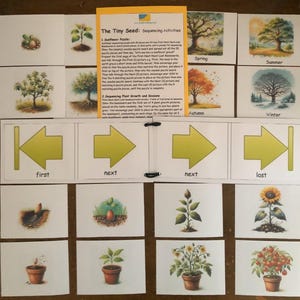 The Tiny Seed Story Sequencing With How? and Why? Questions Bumper Pack ...