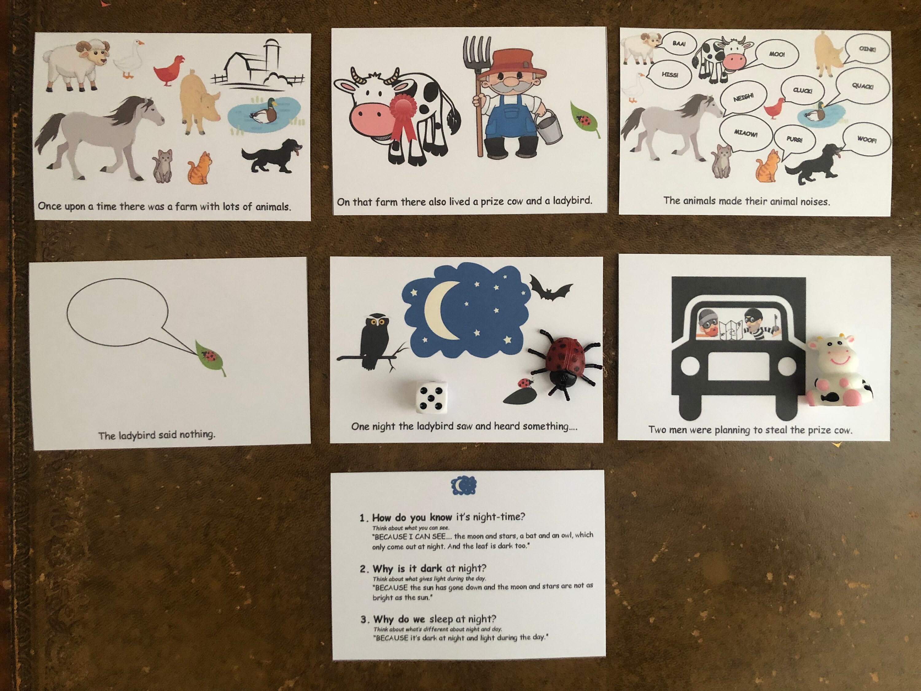 What the Ladybird Heard Story Sequencing and Why/how Questions Pack - Etsy