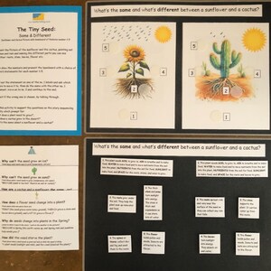 The Tiny Seed Story Sequencing With How? and Why? Questions Bumper Pack ...
