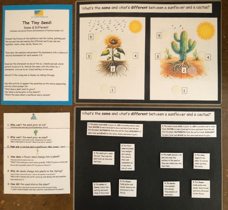 The Tiny Seed Story Sequencing With How? and Why? Questions Bumper Pack ...