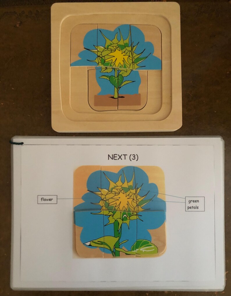 The Tiny Seed Story Sequencing With How? and Why? Questions Bumper Pack ...