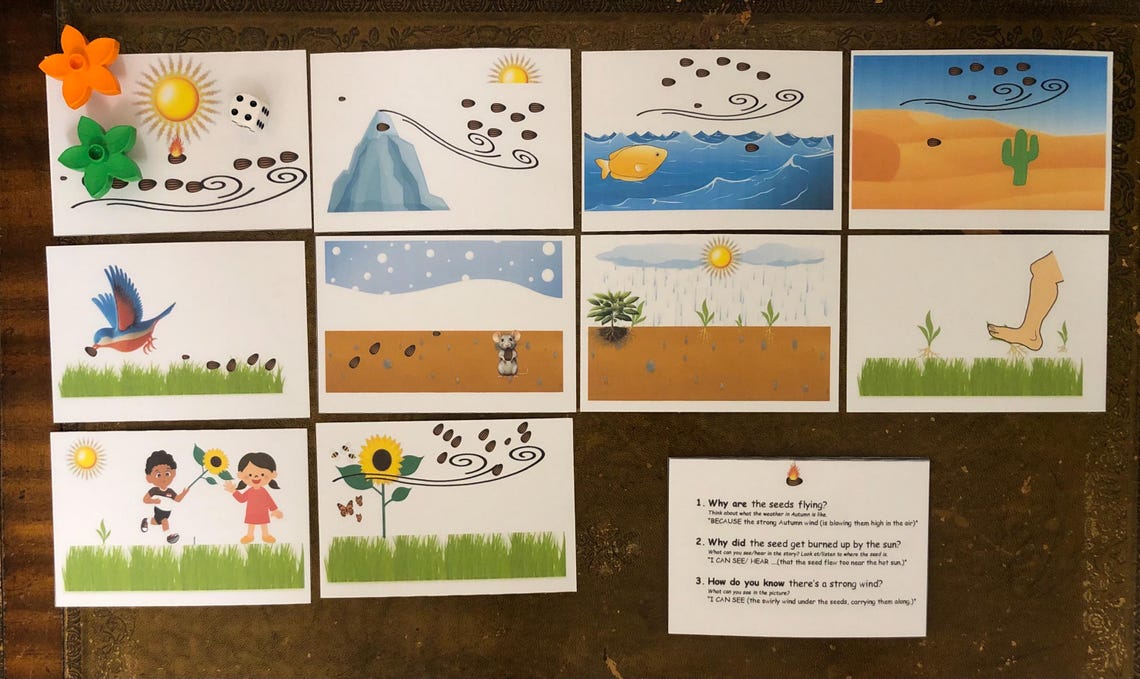 The Tiny Seed Story Sequencing With How? and Why? Questions Bumper Pack ...