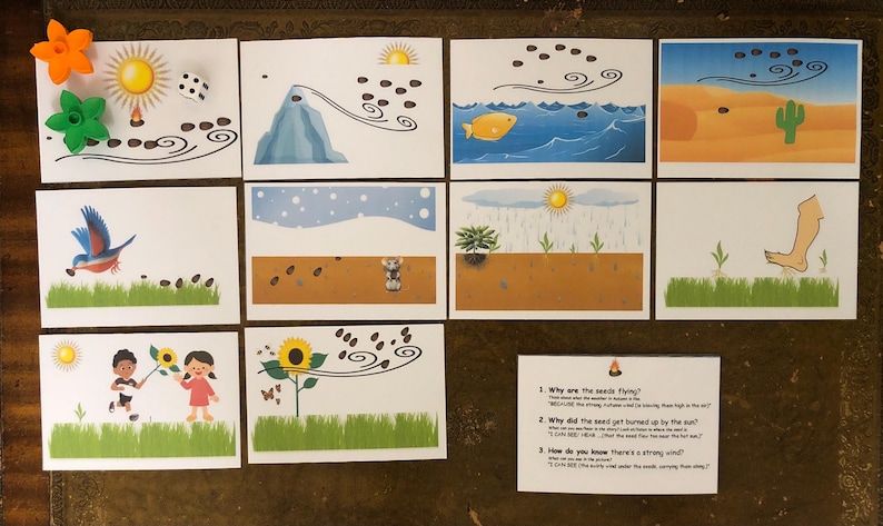 The Tiny Seed Story Sequencing With How? and Why? Questions Bumper Pack ...